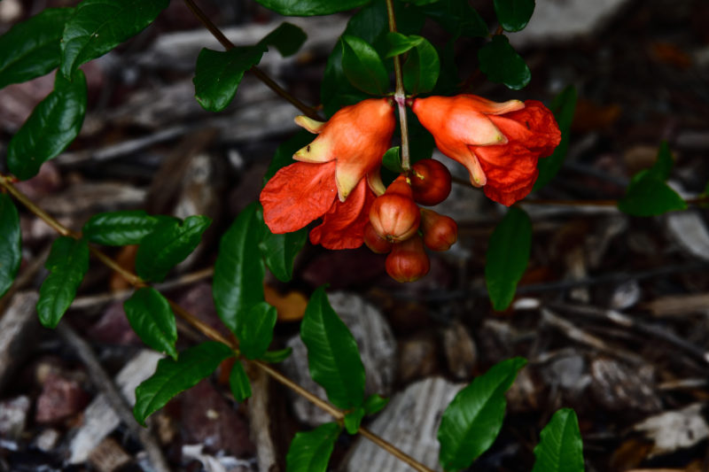 Western Sky Communications - Martha Retallick