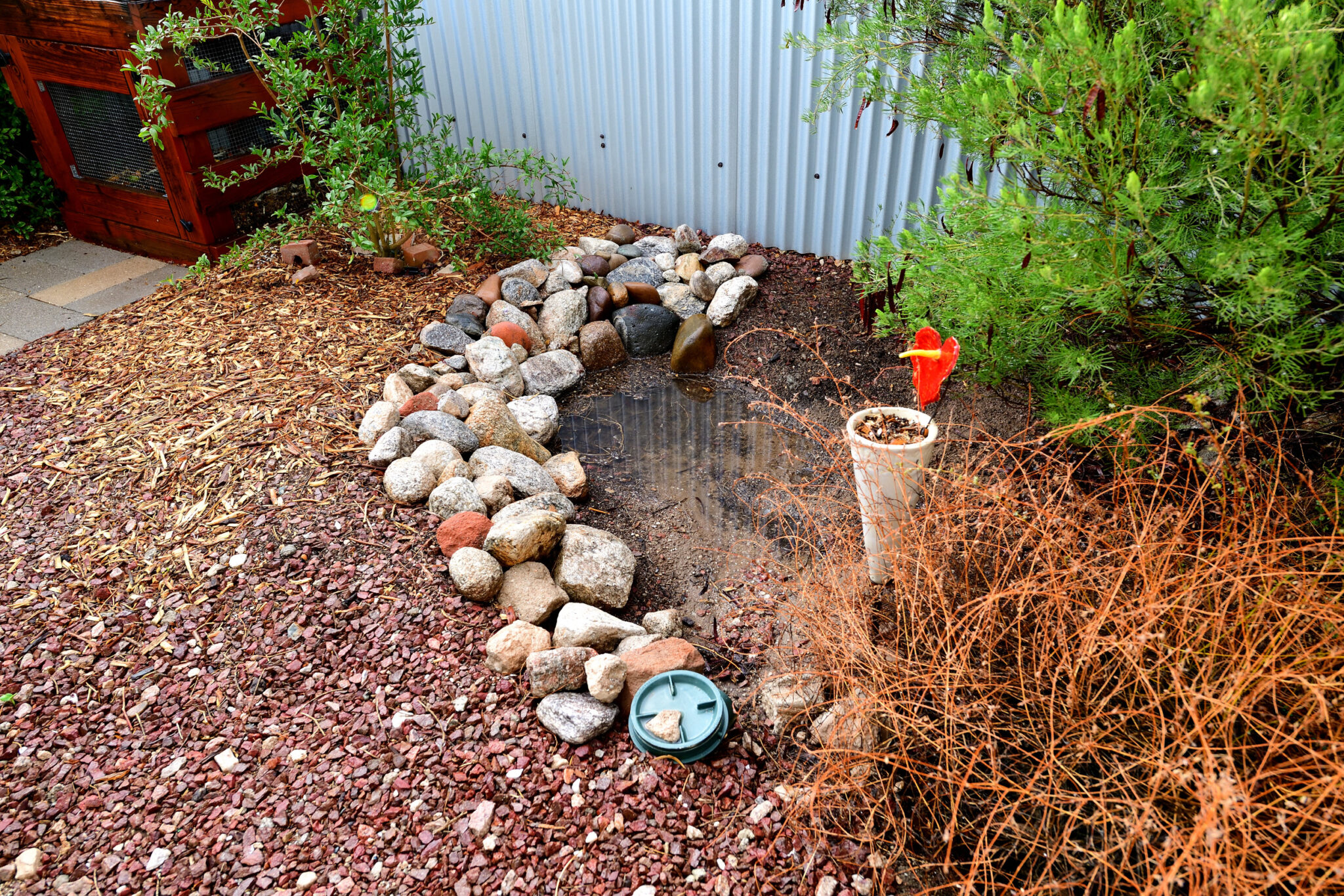 Water Harvesting 101 Podcast: Episode 27 – Hurricane Rain - Western Sky ...