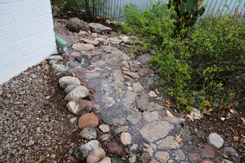 Water Harvesting 101 Podcast: Episode 5 - Passive Water Harvesting ...