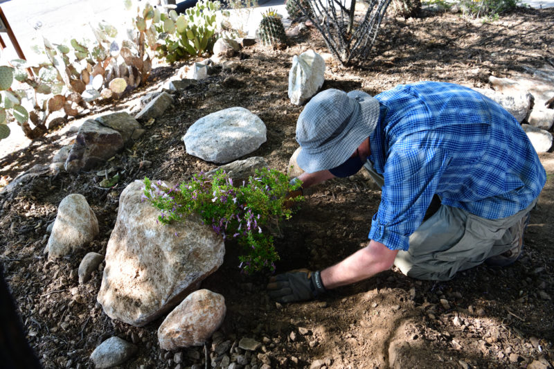 Front Yard Makeover - Western Sky Communications