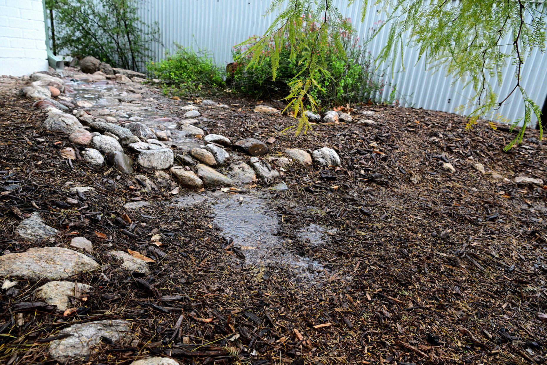 Water Harvesting 101 Podcast: Episode 1 - Redirecting Rainwater - Western Sky Communications