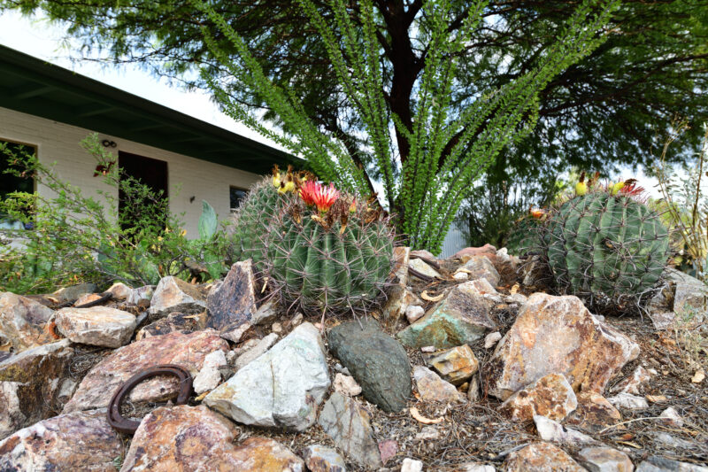 Water Harvesting 101 Podcast: Episode 10 – Earthworks Creation Tip #2 – Best Practices for ...