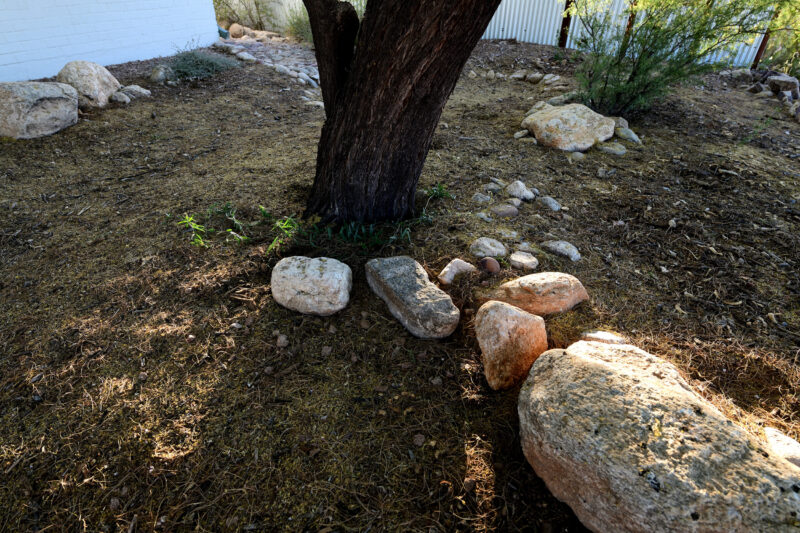 Water Harvesting 101 Podcast: Episode 13 – Earthworks Creation Tip #5 ...